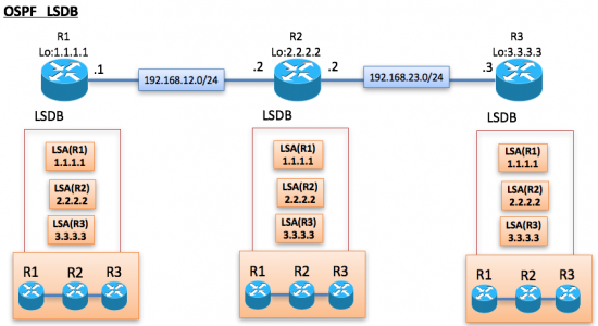 OSPF LSAの概要 LSAヘッダー - インフラエンジニアのメモ帳